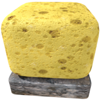 Sponge - Pikmin Fanon