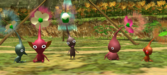 Pikmin Squared/Randomizer - Pikmin Fanon