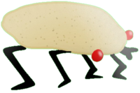 Scuttlerock - Pikmin Fanon